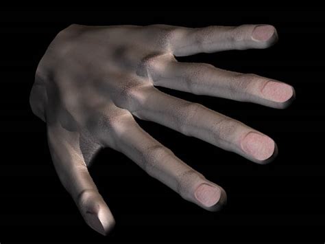 Basic Hand Mesh And Rig