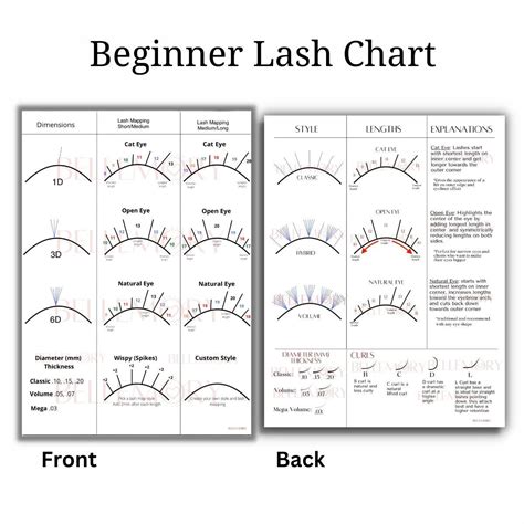 Beginner Lash Map Laminated Chart Eye Shape Chart Lashes Shape Chart