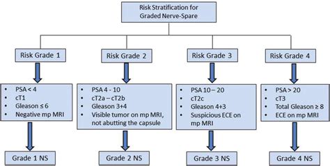 Risk Stratification Algorithm For Athermal Nerve Sparing Robotic Download Scientific Diagram