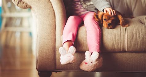 10 Things To Look For In An Exterminator How To Hire Exterminator