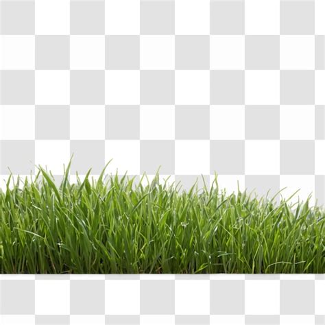 Page 8 Grass Grass Psd High Quality Free Psd Templates For Download