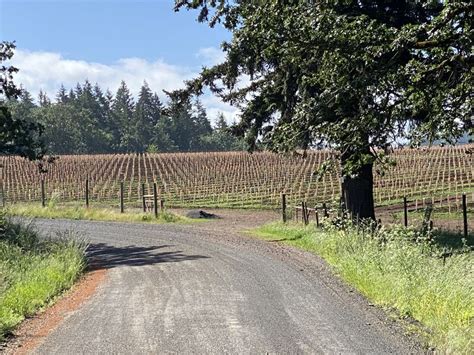 Ken W Alger On Linkedin Oregonag Oregonwine