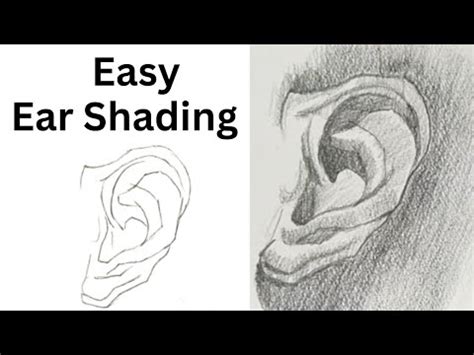 How To Draw Ear Shading Techniques Step By Step For Beginners