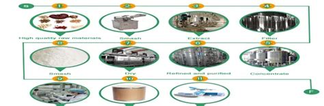 The Art Of Extraction Step By Step Guide To Plant Leaf Extraction