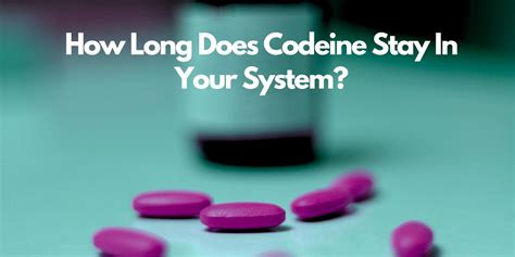 Codeine Abuse How Long Does Codeine Stay In Your System