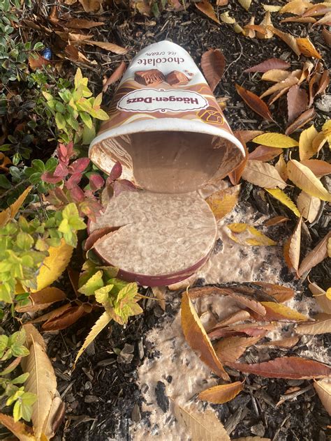 Found This Soup Can One Of The Lurking Fatcats On Here Read What It Is