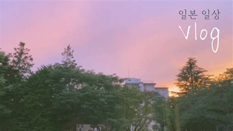 일본 브이로그 일본 코스트코 쇼핑 일본 다이소 쇼핑 꼬마김밥 해먹기 한국식품 주문 일상 브이로그 일본 장보기 일본 슈퍼 일본 편의점 일본