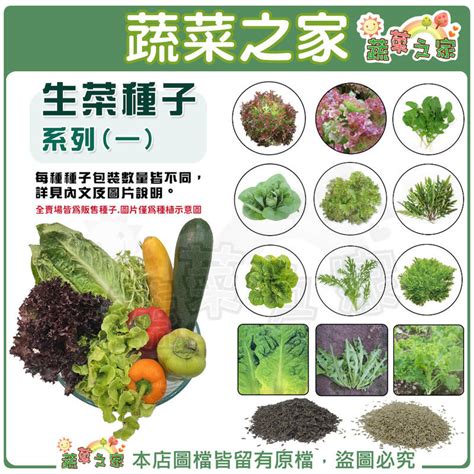 【蔬菜之家滿額免運】生菜種子系列一各包裝數量詳見內文及圖片說明水耕種子 土耕種子 水耕蔬菜 萵苣 露天市集 全台最大的網路購物市集
