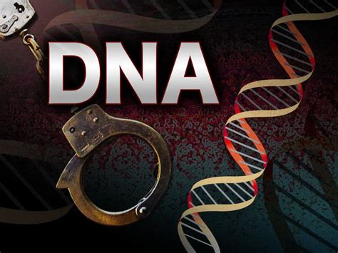 Scientists Question Dna Accuracy Civil Liberties Australia