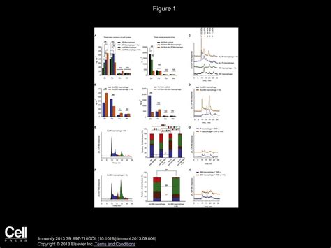 Volume Issue Pages October Ppt Download