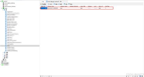 【虚拟机安装与部署系列（六）】：部署前后端一体项目（springboot）虚拟机部署springboot Csdn博客