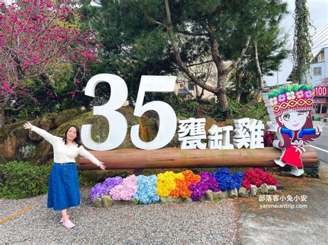 南投【鹿谷景點】必玩鹿谷一日遊！美食、秘境、順遊景點全攻略