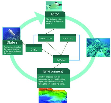 Training Architecture Of A Deep Deterministic Policy Gradients Ddpg