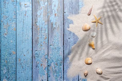여름 해변 휴가 컨셉으로 자유로운 텍스트 공간을 즐길 수 있다 평면도 야자수 잎 그늘이 있는 오래된 파란색 나무 보드 배경에 다양한 바다 조개와 고운 해변 모래가 있는 평면