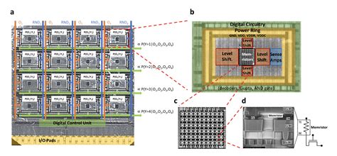 Latest Artificial Intelligence Research Proposes Bayesian Machine An