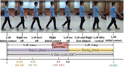Figure From A Strong And Robust Skeleton Based Gait Recognition Method With Gait Periodicity