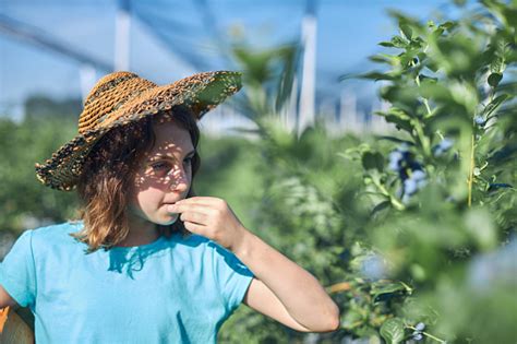 가족 농장 비즈니스 컨셉 여름 직업에 블루베리가 가득 찬 상자를 가진 어린 소녀와 어린 시절부터 책임을 지고 있습니다 건강한 생활방식에 대한 스톡 사진 및 기타 이미지