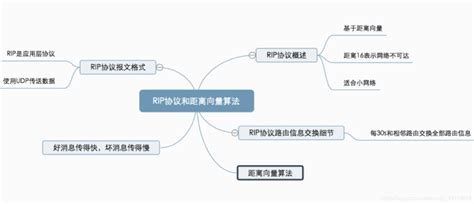 4 5 计算机网络之网络层路由选择协议（自治系统as、rip、ospf、bgp） 计网as csdn博客