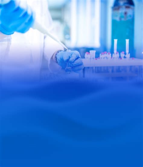 Strategies For Adc Payload Release And Metabolism A Key Step In The Development Wuxi Apptec Dmpk Strategies For Adc Payload Release And Metabolism A Key Step In The Development Wuxi Apptec Dmpk