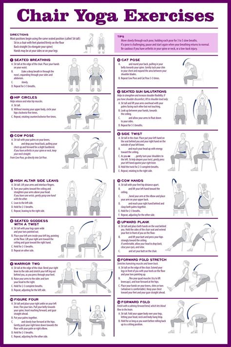 Chair Exercises For Seniors 20 Free Pdf Printables Printablee
