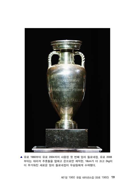 알라딘 미리보기 축구에 관한 모든 것 21 유럽축구선수권대회