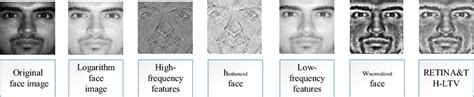 The Corresponding Output Image For Each Step Of Retinaandth Ltv Algorithm