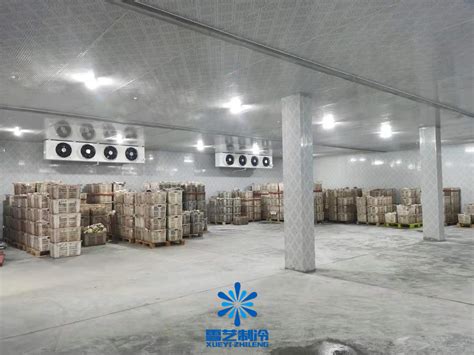 建造1000立方蔬菜保鲜库安装收费标准上海雪艺制冷科技发展有限公司