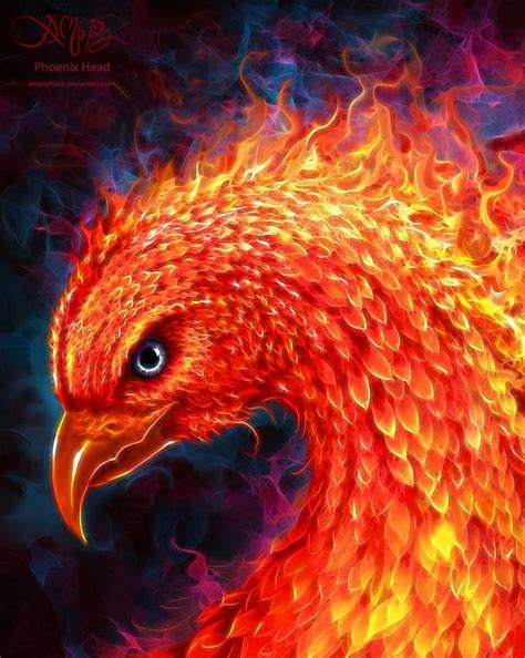 Phoenix Head By Amorphisss On Deviantart