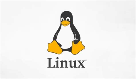 Windows、mac、linux三大操作系统区别，怎么选？linux和mac Csdn博客
