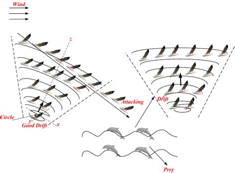 A New Seagull Optimization Algorithm To Solve Numerical Optimization Problems Transpire Online