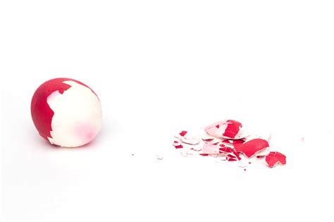 Red Boiled Easter Egg With Shell On White Background Concept Of The End