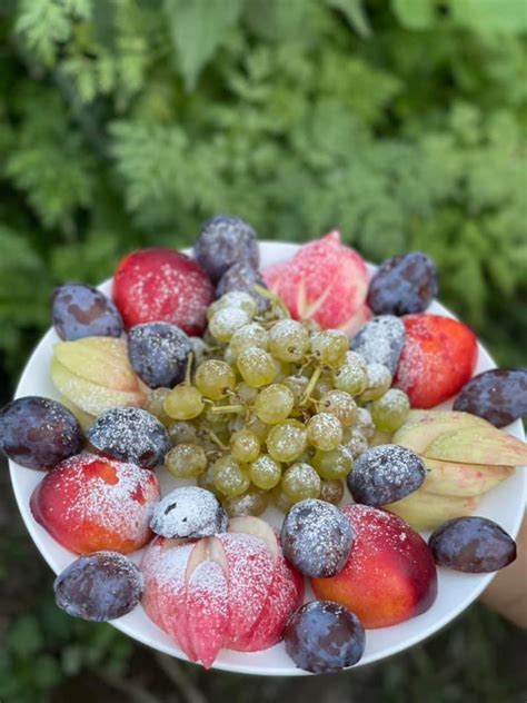 Ho Hotel Cafe Koshki Ushguli • სასტუმრო კაფე კოშკი უშგული