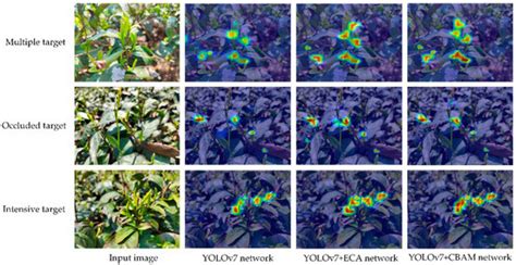 Detection Of Famous Tea Buds Based On Improved Yolov7 Network