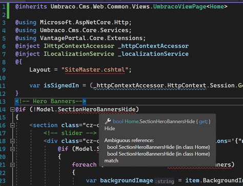Modelsbuilder Issue Ambiguos Reference
