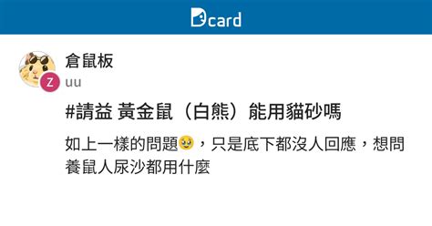 請益 黃金鼠白熊能用貓砂嗎 倉鼠板 Dcard