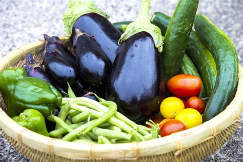 夏の暑さで食欲不振…無理して食べない方がいい？ おすすめの食べ物はある？ オトナンサー