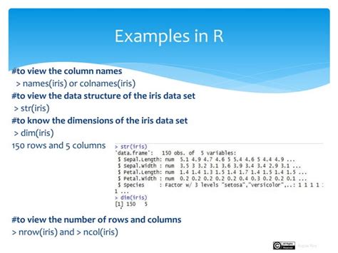 Data Types And Structures In R Pdf