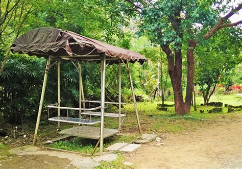 なぜ公園で「箱ブランコ」を見かけなくなったのか ニッポン放送 News Online