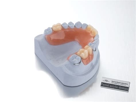 The Importance Of Lower Partial Dentures