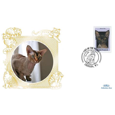 Grenada Cats Devon Rex