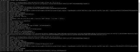 Cannot Upload Large Files Via Aws S3 Sdk · Issue 13275 · Miniominio
