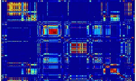 Neural Basis Of Multitasking Neuroscience