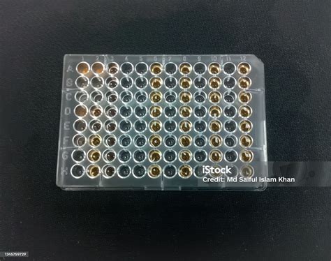 Hemagglutination Assay For T Pallidum Antibodies Tpha Elisa Plate