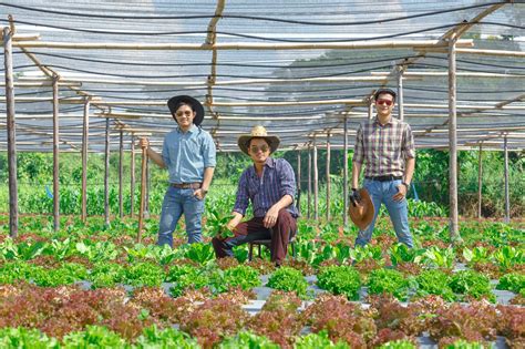 สวนผัก โอ้กะจู๋ สวนผักโอ้กะจู๋เริ่มก่อตั้งตั้งแต่ปี 2010