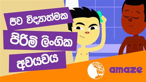ජීව විද්‍යාත්මක පිරිමි ලිංගික අවයවය Amaze