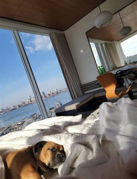 View In Manhattan Rviewporn