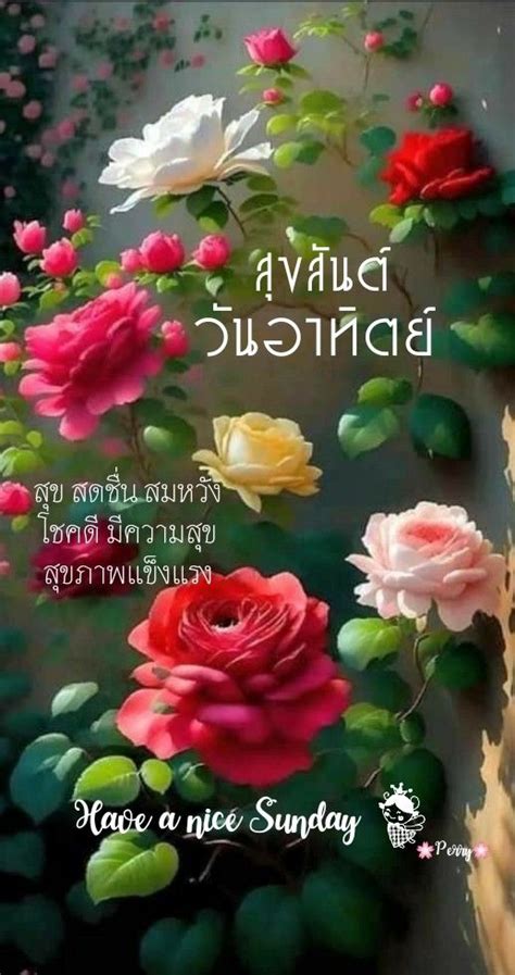 Happy Sunday Quotes Sunday Quotes Good Morning Quotes Good Morning Greetings