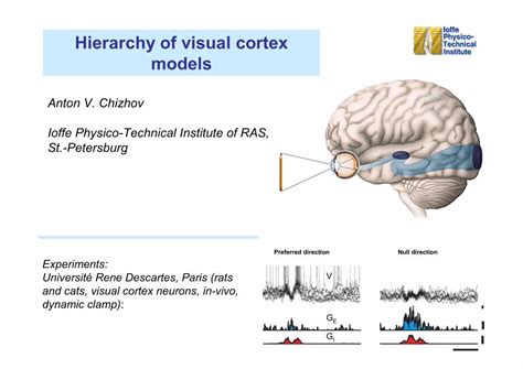 Pdf Hierarchy Of Visual Cortex Models Dokumen Tips