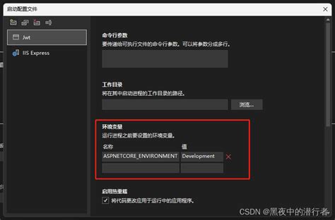 理解aspcore配置系统 因特网