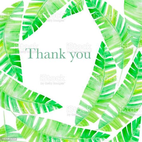 수채화 녹색 잎으로 만든 프레임 텍스트에 대한 열대 우림 테두리 텍스트공간을 복사합니다 바나나 잎에 대한 스톡 벡터 아트 및 기타 이미지 Istock